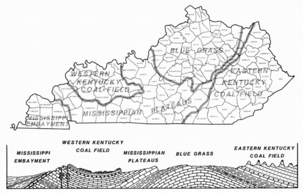 The Forest - BC Forestry Outreach Center