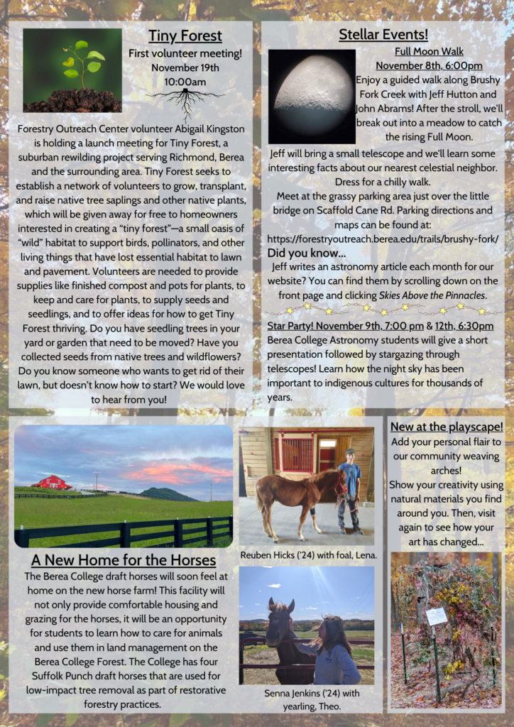 November 2022 Newsletter - BC Forestry Outreach Center